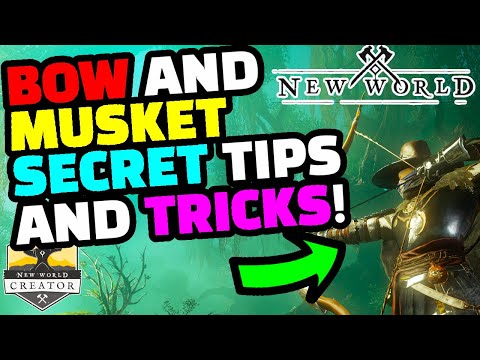 Steam Community :: Video :: New World - Is the Musket or Bow Worth Using?