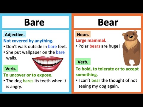 BARE vs BEAR 🤔| What's the difference? | Learn with examples