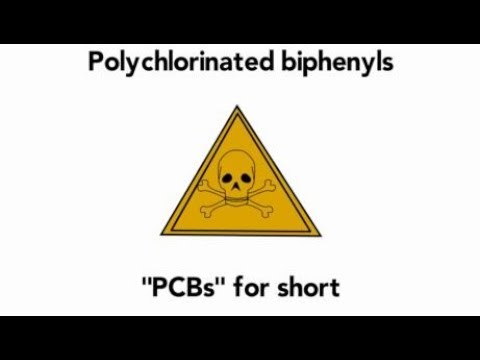 What are PCBs?