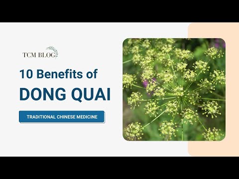 10 Benefits of Dong Quai (Angelica Sinensis) | TCMBLOG