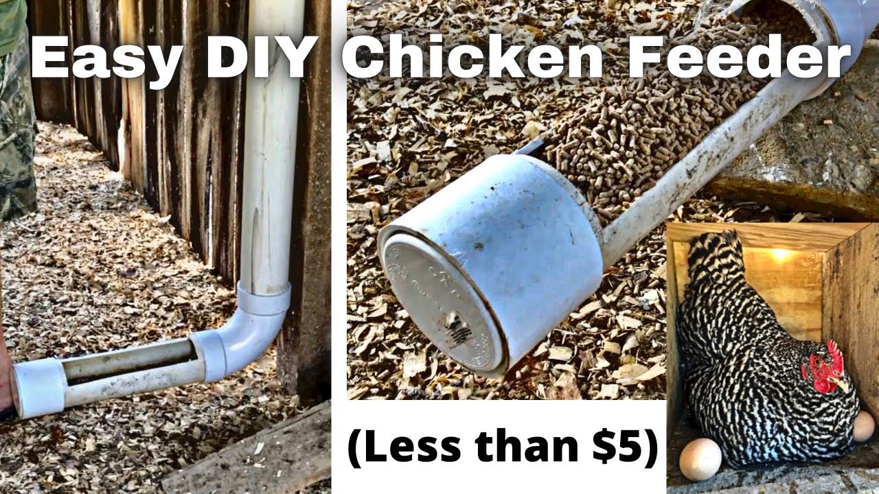 DIY Automatic Gravity Chicken Feeder (easy and cheap!) #chickenfeeder #DIY