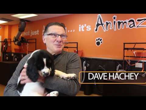 Animazing Pet Spa