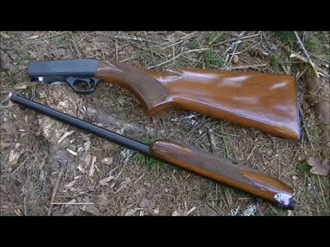 Norinco JW-20 .22 Rifle