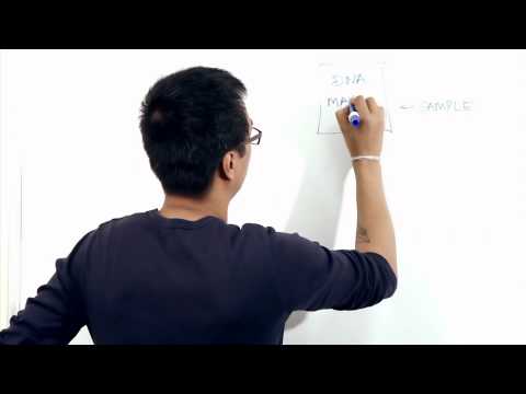 Two-Minute Science Lesson: How Forensic DNA Testing Works
