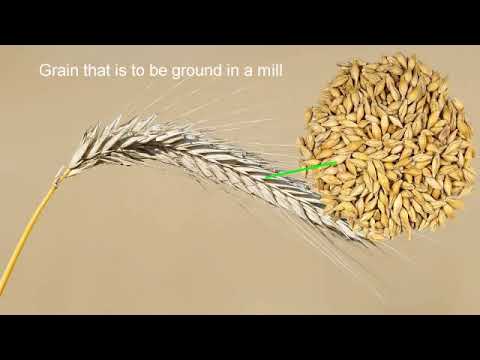 grist meaning | Vocabulary for Kids | Children's Dictionary | Learn English Vocabulary