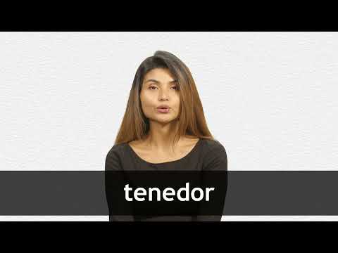 English Translation of “TENEDOR” | Collins Spanish-English Dictionary