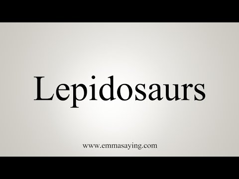 How To Say Lepidosaurs