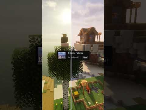 Check Out These Amazing Minecraft Mods! 🌈