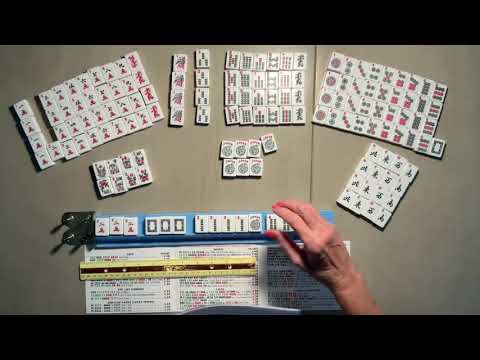 Lynn Kaplan 2024 NATIONAL MAH JONGG LEAGUE CARD REVIEW