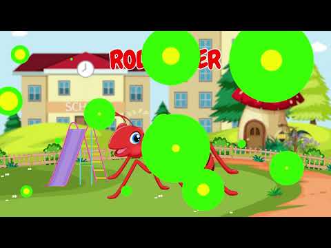 🪰 Insecten namen leren in het Nederlands 🐝 Leren over insecten voor peuters en kleuters