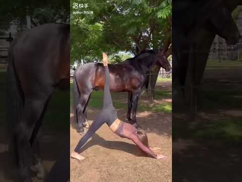 The Science of Horse Gait (and WHY it Matters)