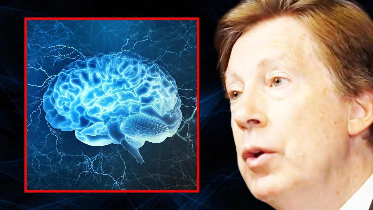 The TOP SUPPLEMENTS to Keep Your Brain Sharp | Dr. Dale Bredesen