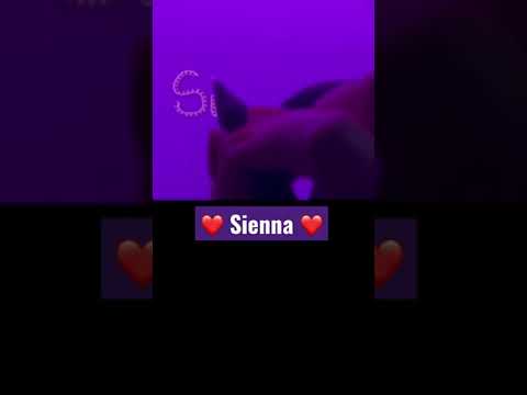 SIENNA (Calligraphy video) #calligraphy #name #sienna