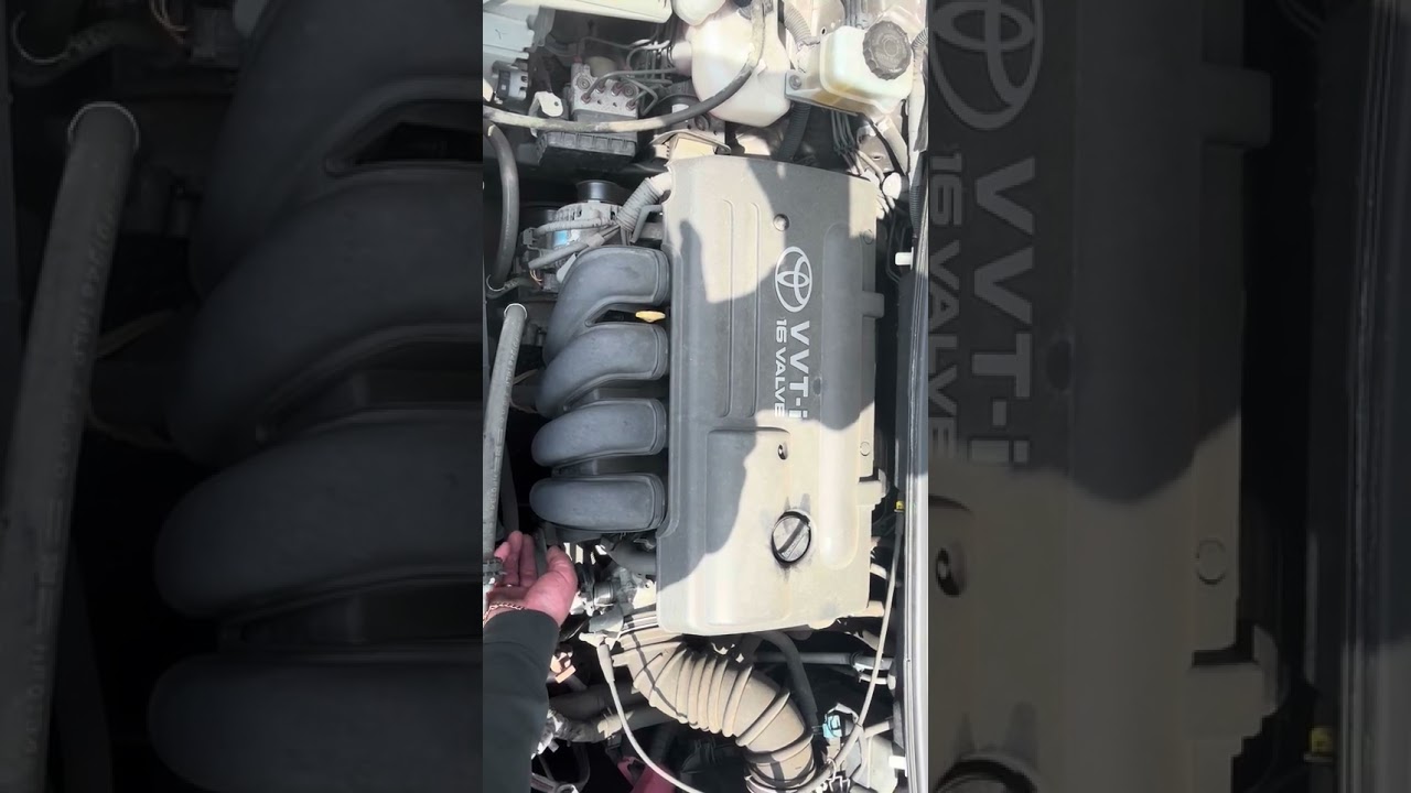 share ZNM10W 0028633