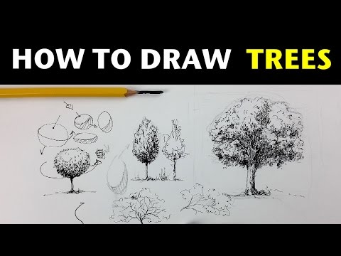 How to draw trees / Cum sa desenezi copaci – Creative Visual Student