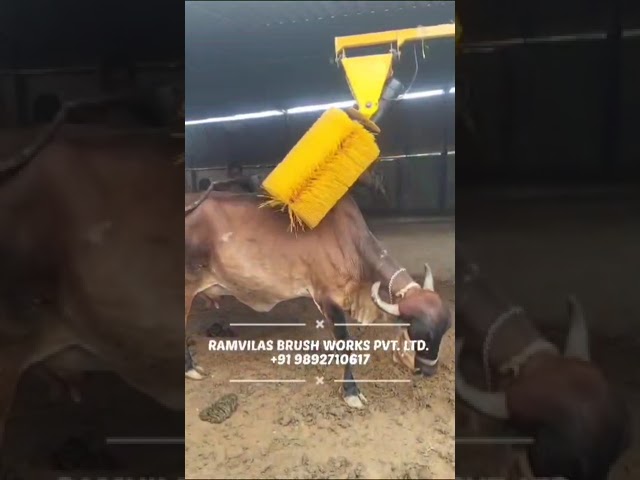 Cow Brush - Cow Grooming Brush Manufacturer from Mumbai