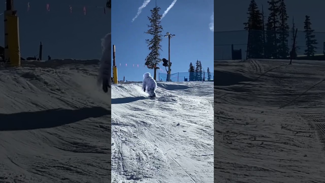 The yeti on the snowboard