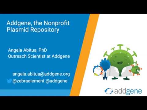dkNET Webinar: Addgene, The Nonprofit Plasmid Repository 04/24/2020