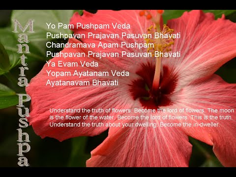 Secrets and Hidden Meaning of Mantrapushpam | Yo Pam Puspam |Yajur Veda | Greek Philosophy in Vedas