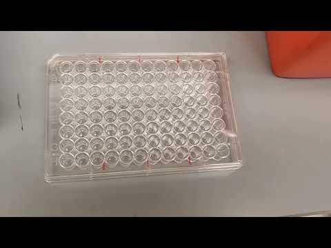Measuring protein concentration and sample denaturation