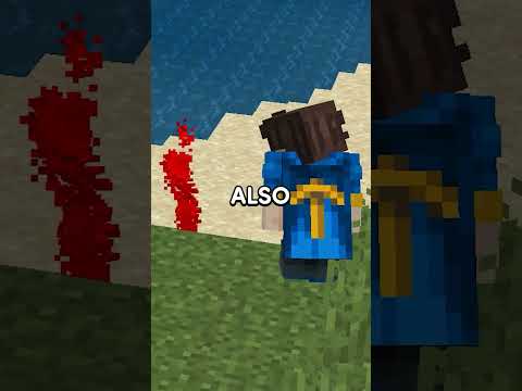 I found the BEST Minecraft Server...