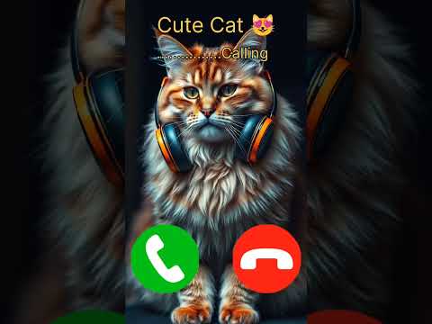 Cute Cat Calling π»