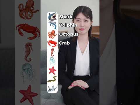 9 Sea Creatures in Daily English