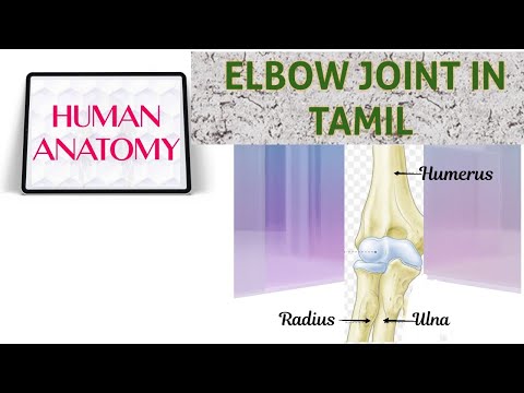 (Requested video) HUMAN ANATOMY -Elbow joint in Tamil |Treasure World|