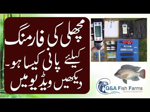 Introduction to Fish Farming. How to test water. In Hindi/Urdu with English subtitles video 3