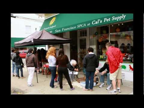 San Francisco SPCA Mobile Adoption Outreach Program