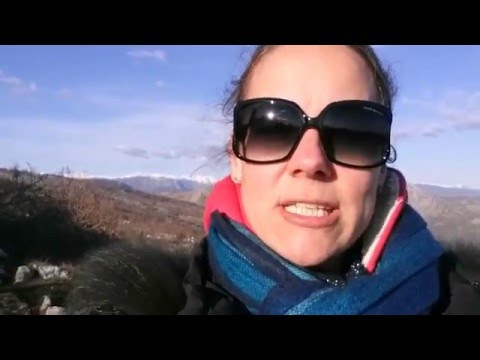 New word in French : the snow