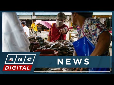 BFAR: Importation of 25,000 MT of fish to address supply gap during closed fishing season | ANC