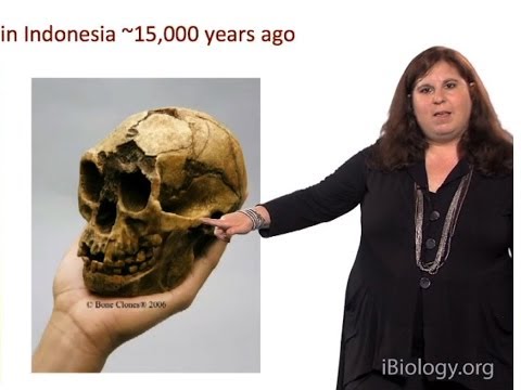 Hominid Species - Sarah Tishkoff (U. Pennsylvania)