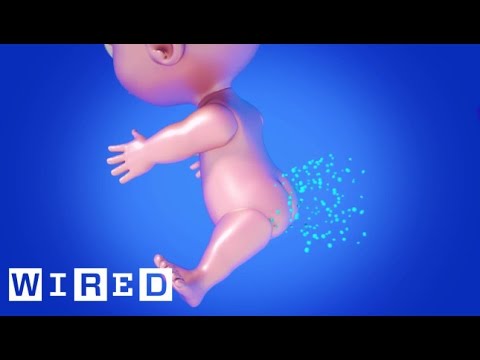 What's Inside: Diaper Cream - WIRED