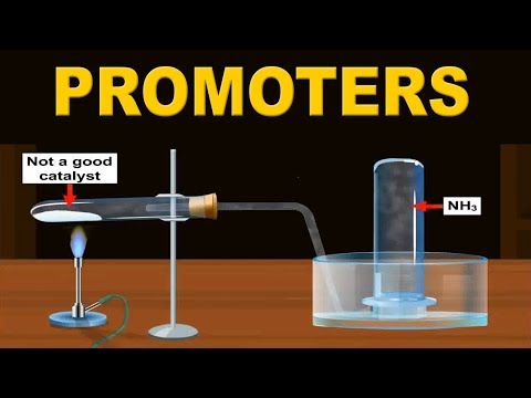 Promoters | 12th Std | Chemistry | Science | CBSE Board | Home Revise