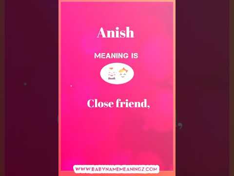Anish name meaning