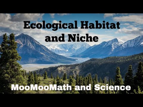 Biological Niche and Habitat