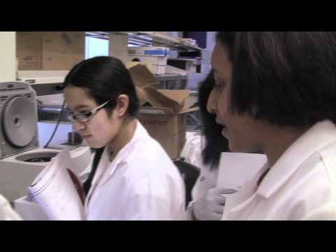 Explorations Program at BIDMC