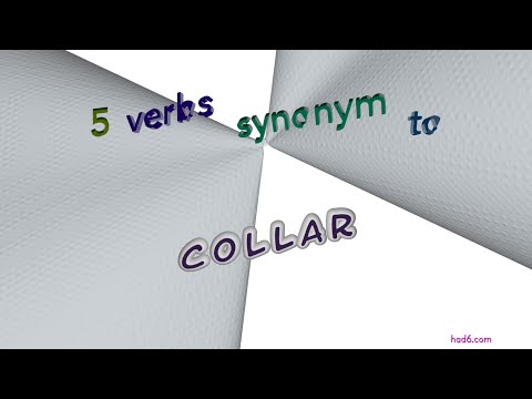 collar - 7 verbs which are synonyms to collar (sentence examples)