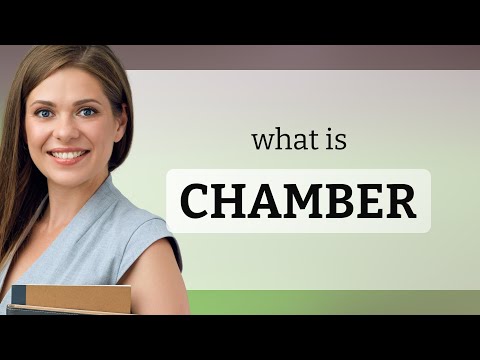 Chamber • what is CHAMBER definition