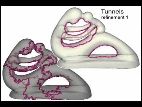 Computing Geometry-aware Handle and Tunnel Loops in 3D Models (Siggraph 2008)