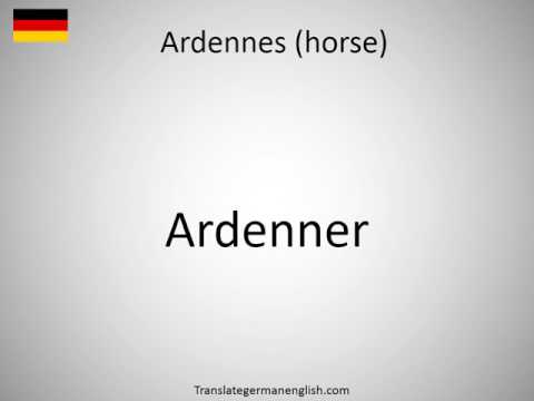 How to say Ardennes (horse) in German?