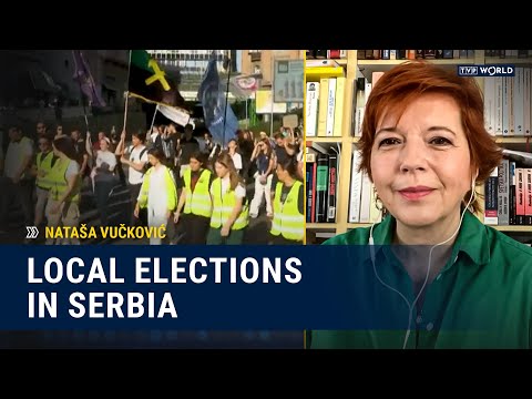 Local elections – a litmus test for Serbian democracy | Nataša Vučković