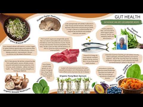 Pet Parent Training Level 2 + Restoratives Video