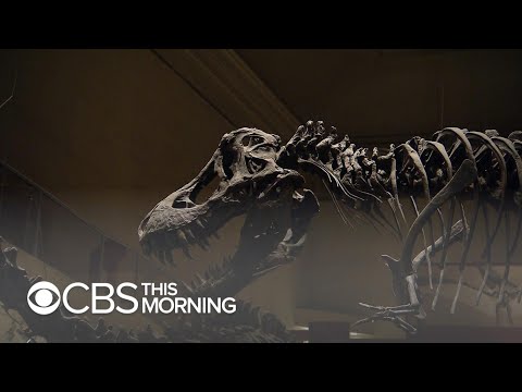 Smithsonian Museum of Natural History debuts long-awaited dinosaur exhibit