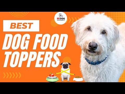 BEST Dog Food Toppers for Picky Eaters! What's the Difference? | Expert Comparison