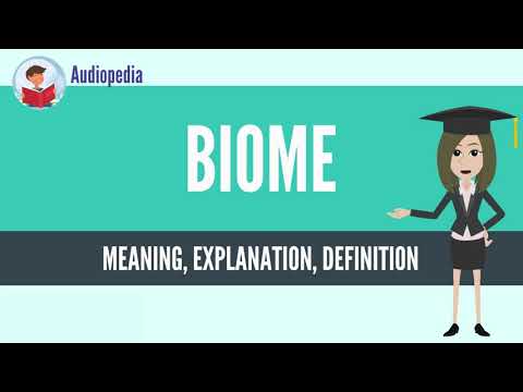 What Is BIOME? BIOME Definition & Meaning