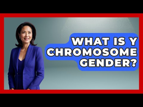 What Is Y Chromosome Gender? - Gender Equality Network