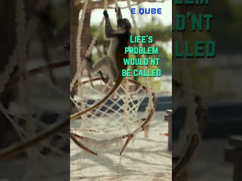 πThe monkey π The Powerful Motivational Quotes π π΅ π
