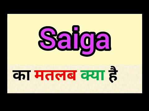 Saiga meaning in hindi || saiga ka matlab kya hota hai || word meaning english to hindi